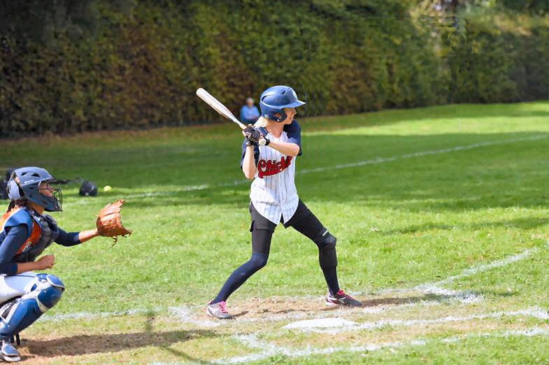 Chichester Falcons Softball Club