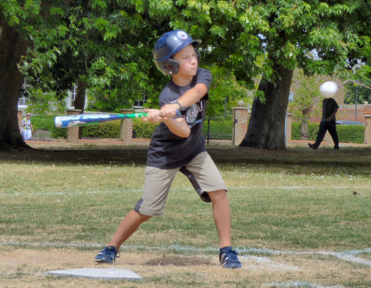 Chichester Falcons Softball Club
